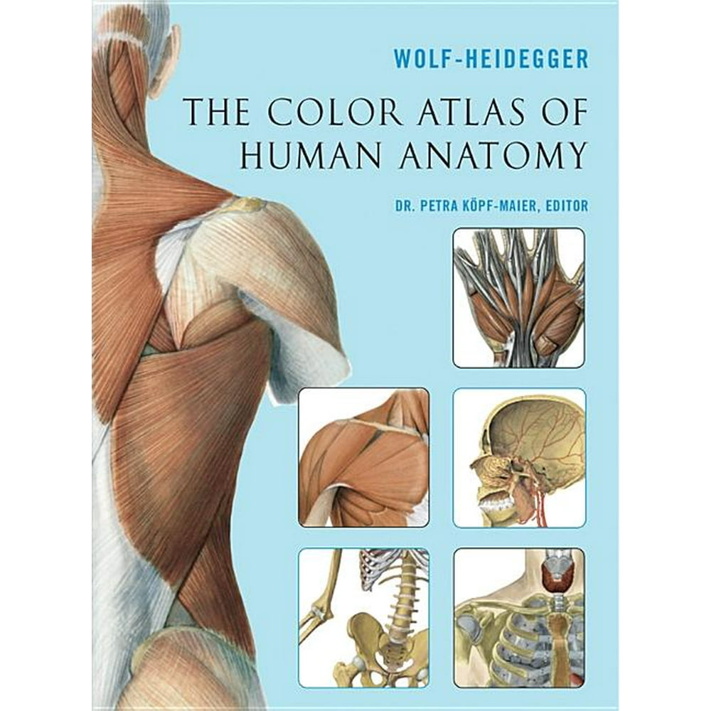 The Color Atlas of Human Anatomy (Paperback) - Walmart.com - Walmart.com