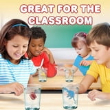 ArtCreativity Magic Growing Dinosaur Capsules, 24 Pc Water Expanding ...