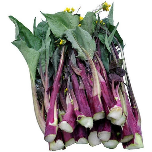 Red Choy Sum s 3.5g about1300pcs Organic Cabbage Broccoli Raab Yellow ...