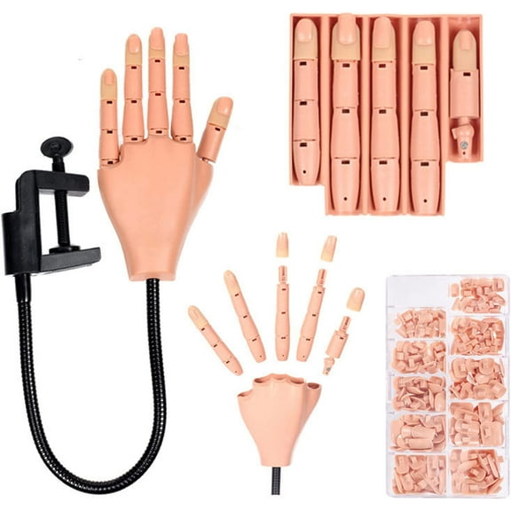 Pro Practice Mannequin Hand with Stand and Flexible Fingers, Model Hand ...