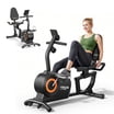 Resenkos Recumbent Exercise Bike for Home, Recumbent Exercise Bike ...