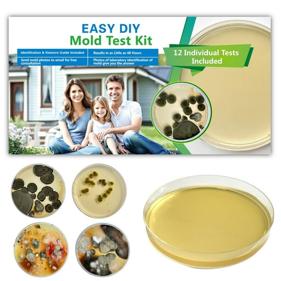 ImmunoLytics DIY Mold Test Kit, 5 Plates, Indoor Air Quality Screening ...
