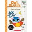 Owl Diaries Eva and the Lost Pony: A Branches Book (Owl Diaries #8 ...
