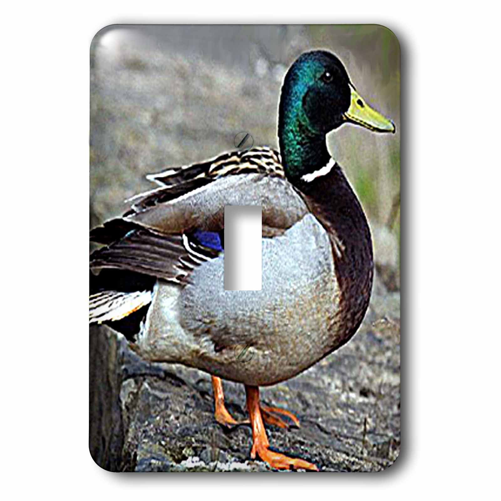 Duck single toggle switch lsp-581-1 - Walmart.com