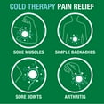 Biofreeze Pain Relief Patches, Menthol Medication for Back, Knee ...