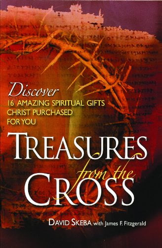 David Skeba Books - Walmart.com