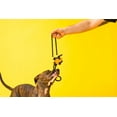 BARK Super Chewer Durable Tug & Chew Dog Toy with Tough Rope, Cheese ...