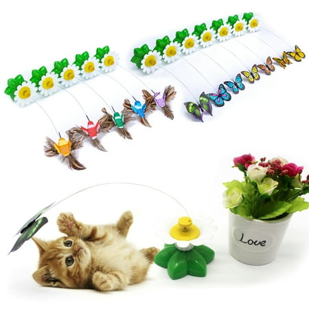 Essen Automatic Electric Rotating Butterfly Hummingbird Shape Cat ...