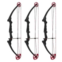 Genesis Archery Compound Bow w/Adjustable Sizing, Right-Handed (4 Pack ...