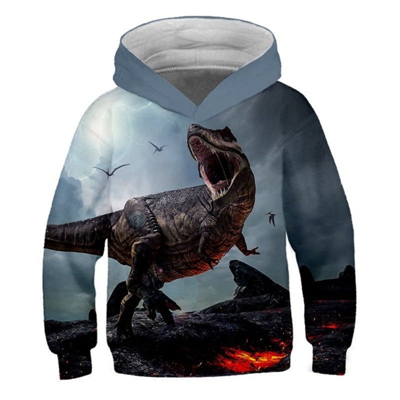 Click here for 3d Dinosaur Print Hoodie  Hooded Pullover For Boys... prices
