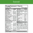 Emerald Labs Men's Multivitamin 1-Daily with Methylated Folate Zinc ...