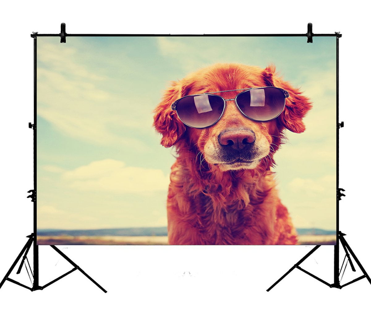 PHFZK 7x5ft Retro Vintage Style Backdrops, Funny Dog under the ...