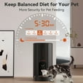 Free Shipping! WOPET Automatic Pet Cat Dog Feeders Dispenser , With ...