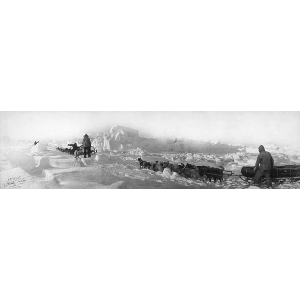 Ziegler Polar Expedition. /Ndog Sled Teams Of The Ziegler Polar ...