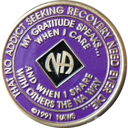 3 Year Violet Purple and White NA Medallion Official Narcotics ...