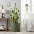 12 Inch Plastic Planter Pot with Drainage Hole and Seamless Saucer ...