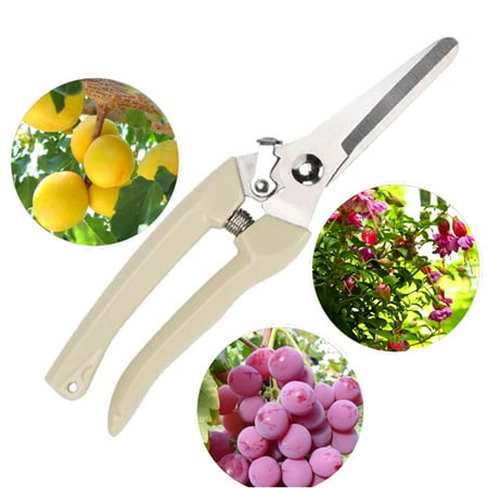 Pruning Shear Gardening Hand Pruner Gardening Hand Flower Pruning ...