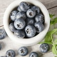 Fresh Organic Blueberries Dry Pint Container - Walmart.com