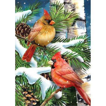 nipocaio Christmas Diamond Painting Kits for Adults - Cardinal Round ...