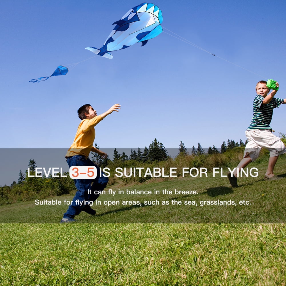3D Kite Large Dolphin Kites, Cartoon Beach Kites with Frameless Soft ...