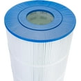 Pureline PL0165 Pool Replacement Cartridge Filter, 100 Sq Ft ...