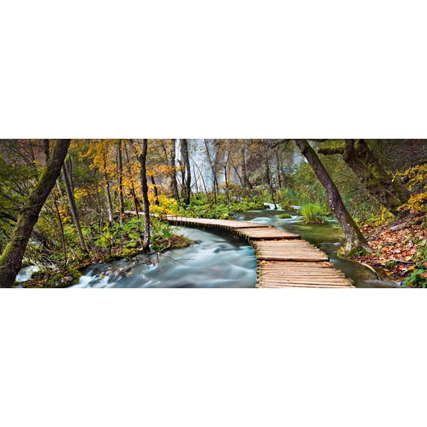 Path Into The Forest Wall Mural - Walmart.com