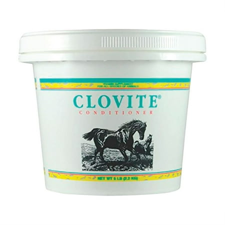 CLOVITE VITAMIN (Pack of 1) | Walmart Canada