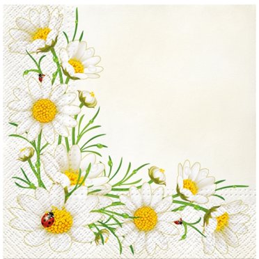Keep Unique Floral Decorative Disposable , Spring Decoupage Napkins ...