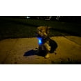 Tail Light LED Bone Shaped Collar Charm, Multiple Colors Available ...