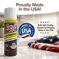 Bull Shot All-Purpose Professional Strength Foam Multi-Surface Dirt ...