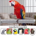 ABCISI Bird Perch, Stainless Steel Parrot Perch, Rough Surface Bird ...