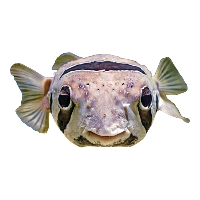 Slick Woody's 30" Pufferfish Vinyl Underwater Pool Mat Tattoo in Multi ...