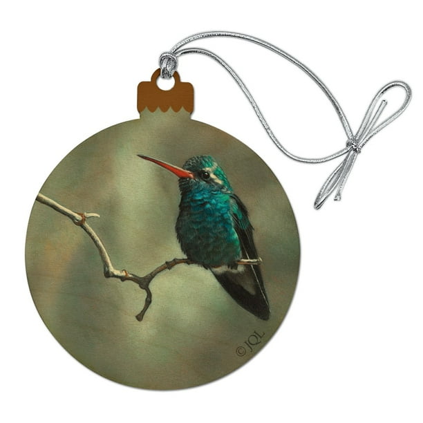Broad-Billed Hummingbird Resting on Branch Wood Christmas Tree Holiday ...