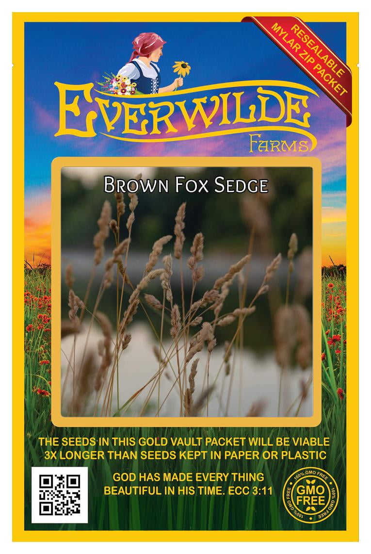 Everwilde Farms - 1000 Brown Fox Sedge Native Grass Seeds - Gold Vault ...