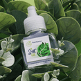 Scent Fill 100% Natural Eucalyptus Plug in Refill Essential Oil Air ...