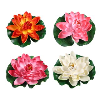 Lotus Flower Pod Head And Shoulder