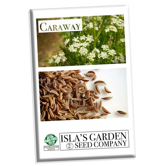 caraway | Walmart Canada