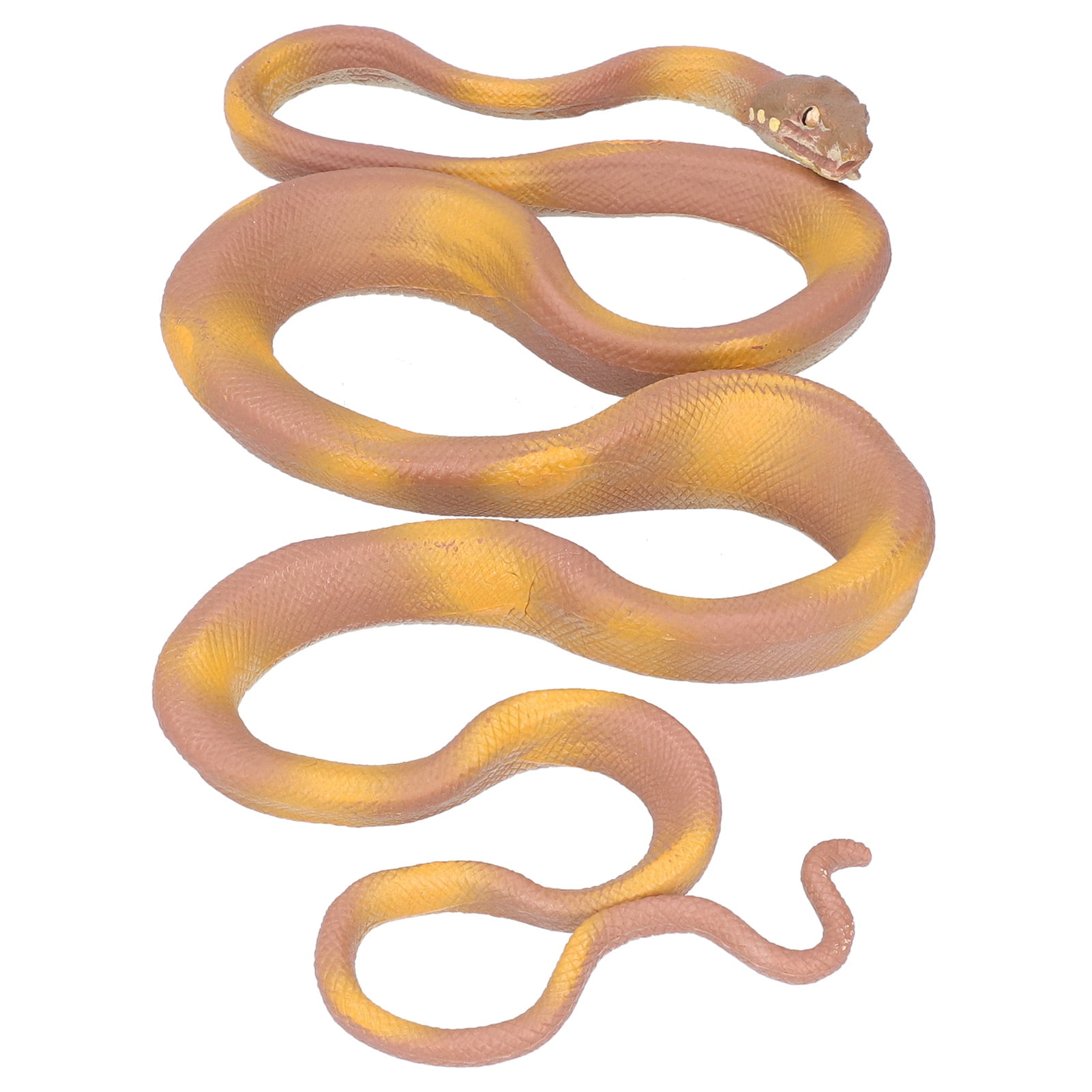 Petsmart Corn Snake