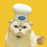 Pet Chef Hat,Cat Halloween Costumes Hat, Dog Cooking Chef Cap,Pet ...