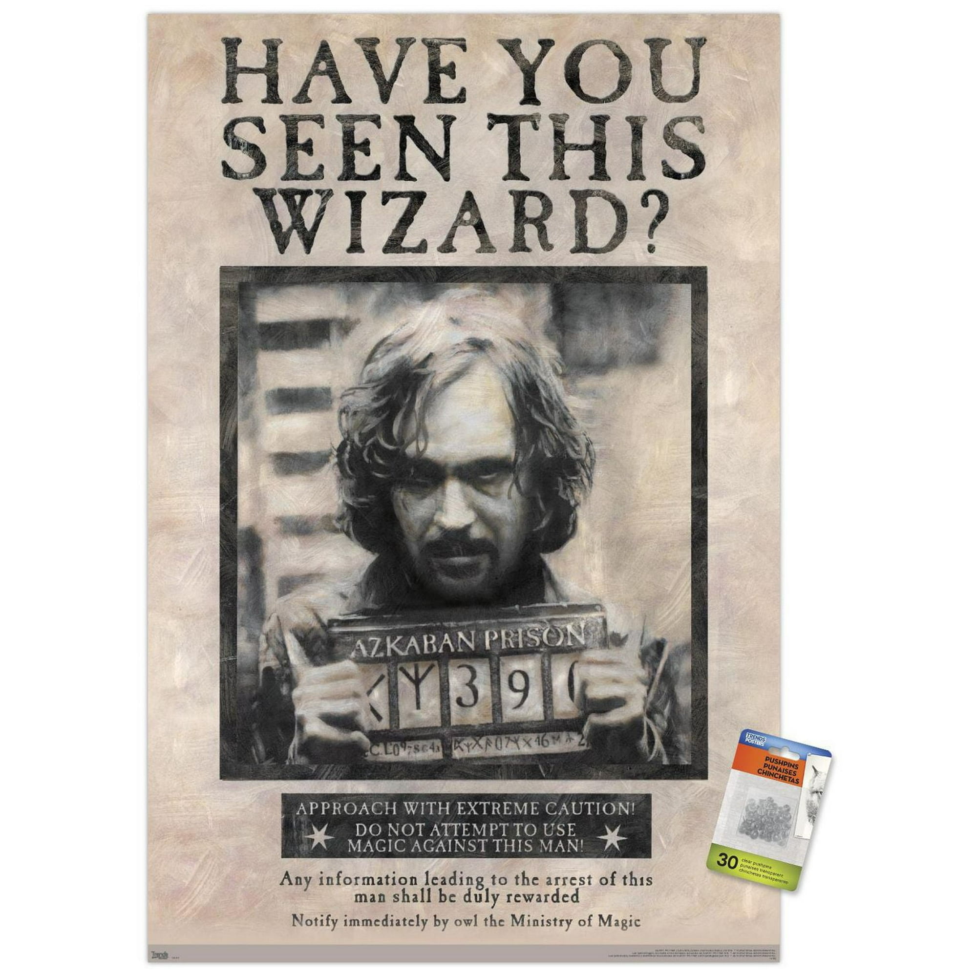 Click here for Trends International The Wizarding World: Harry Po... prices