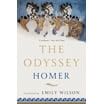 The Odyssey: A Graphic Novel: (A Modern Visual Adaptation of Homer's ...