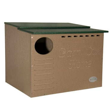Barred Owl Nesting Box - Treated Exterior Grade Plywood - Mounting ...