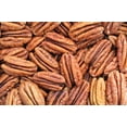 5 HARDY PECAN Tree Carya Illinoinensis King Nut Native Fruit Tree Seeds ...