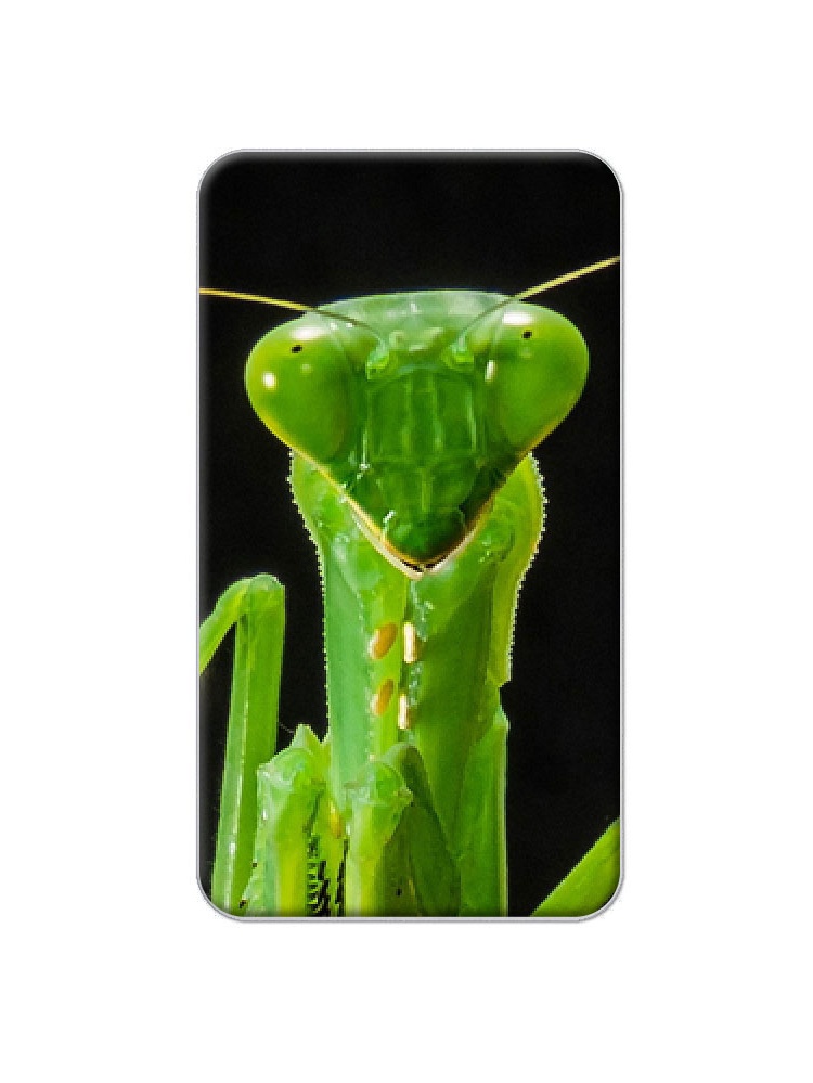 Praying Mantis Lapel Hat Pin Tie Tack - Walmart.com