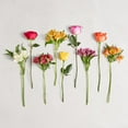 1800 Flowers - Assorted Roses & Peruvian Lilies Double: Orange, Pink ...