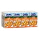 Ocean Spray Aseptic Juice Boxes, 100% Orange, 4.2oz, 40/Carton ...