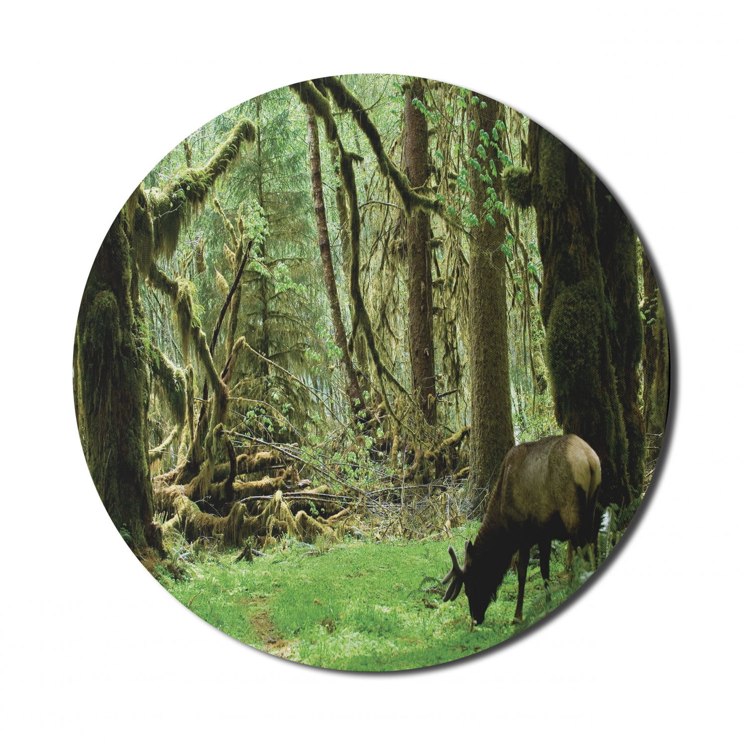 Rainforest Mouse Pad for Computers, Roosevelt Elk in Rainforest ...