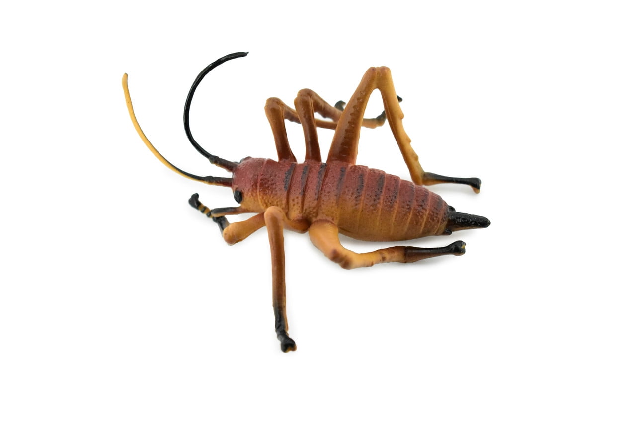 Cricket, Hand Painted, Rubber Insect, Realistic Toy Figure, Model ...