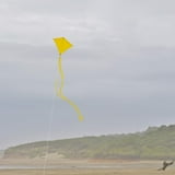 In the Breeze 2990 — Yellow Diamond Kite, 30-Inch, Easy Flying Single ...
