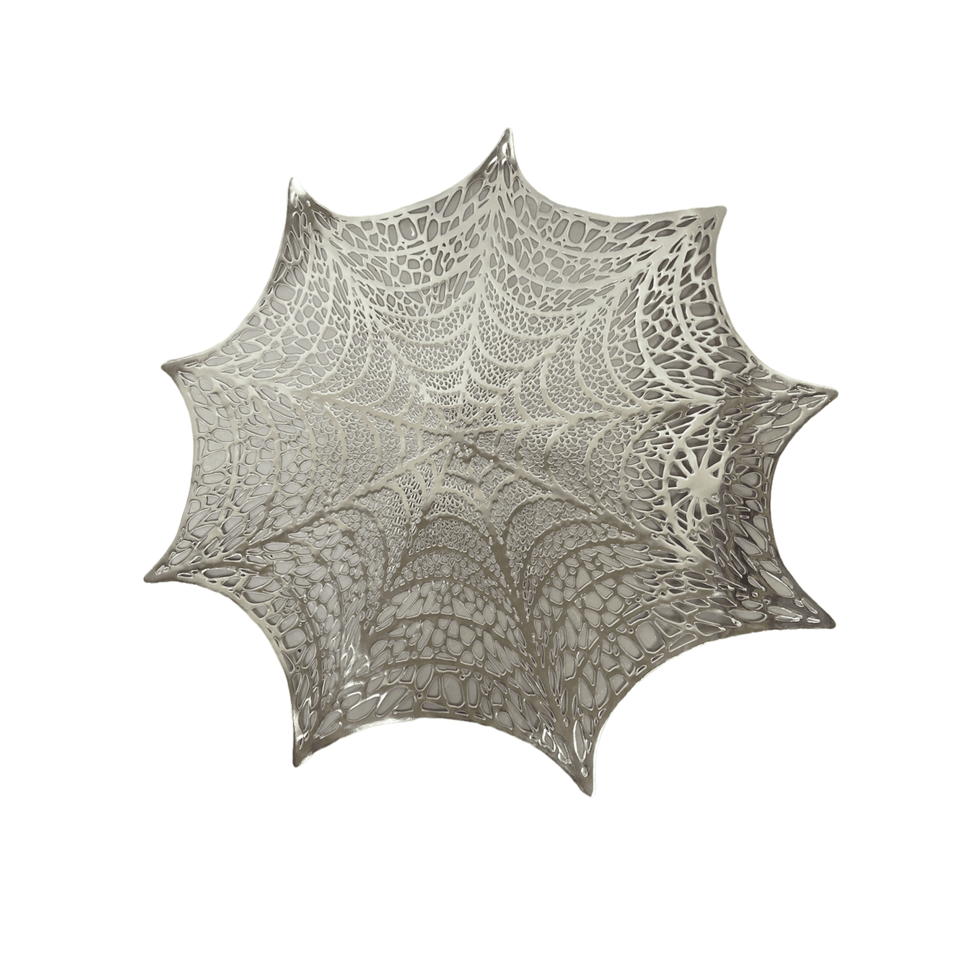 Spider Web Transparent